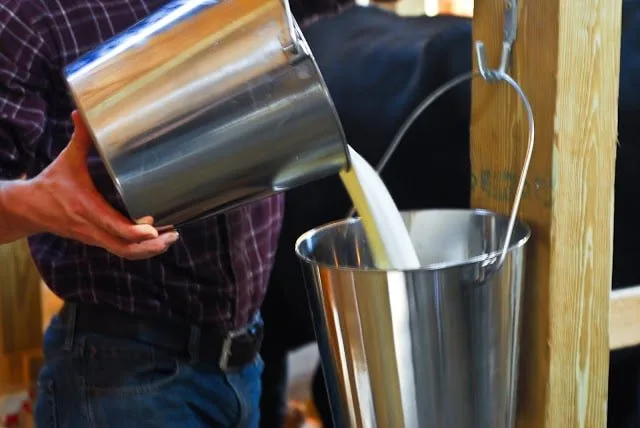Raw Milk 101 - Reformation Acres