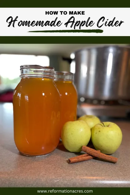 How to Make Homemade Apple Cider - Reformation Acres